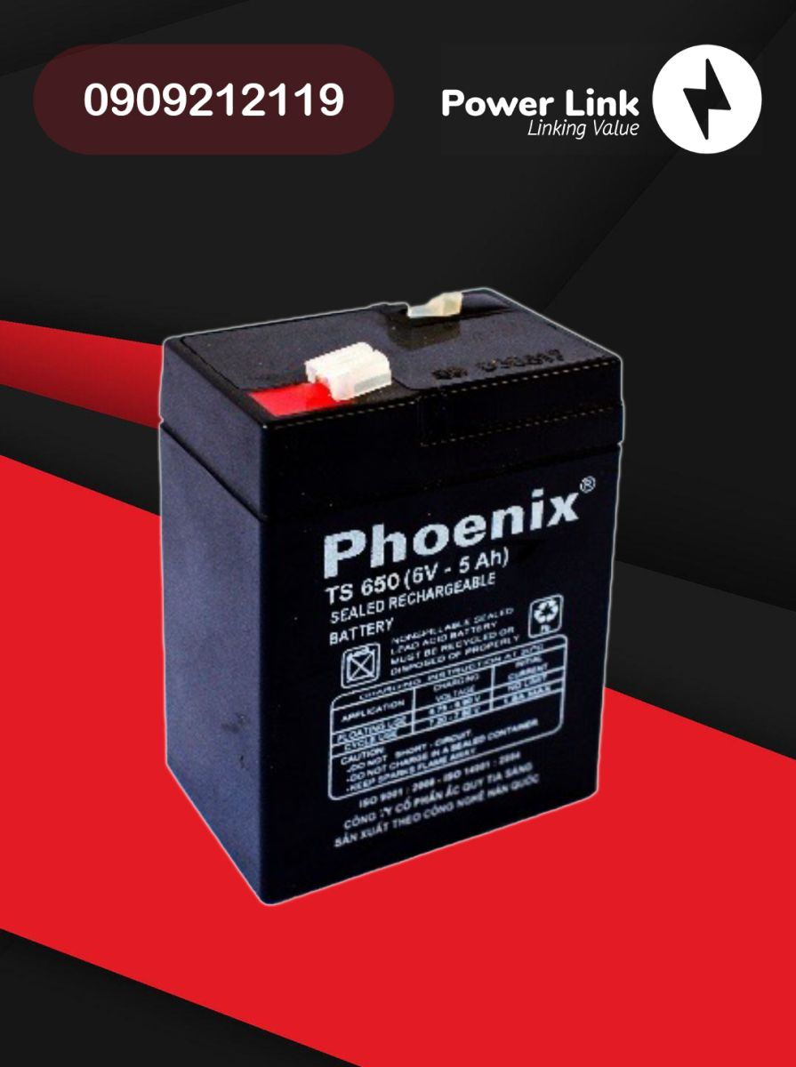 Ắc Quy Ts650 6V-5Ah